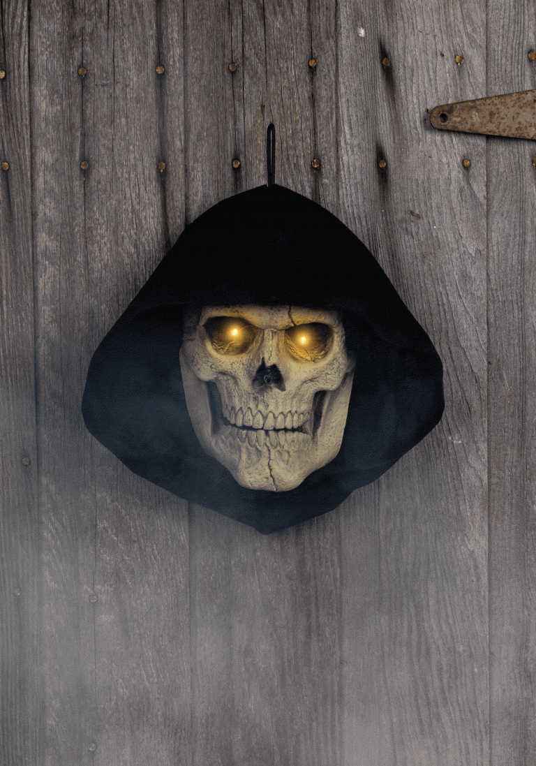 Reaper Skull Door Decoration - Halloween Costume Ideas